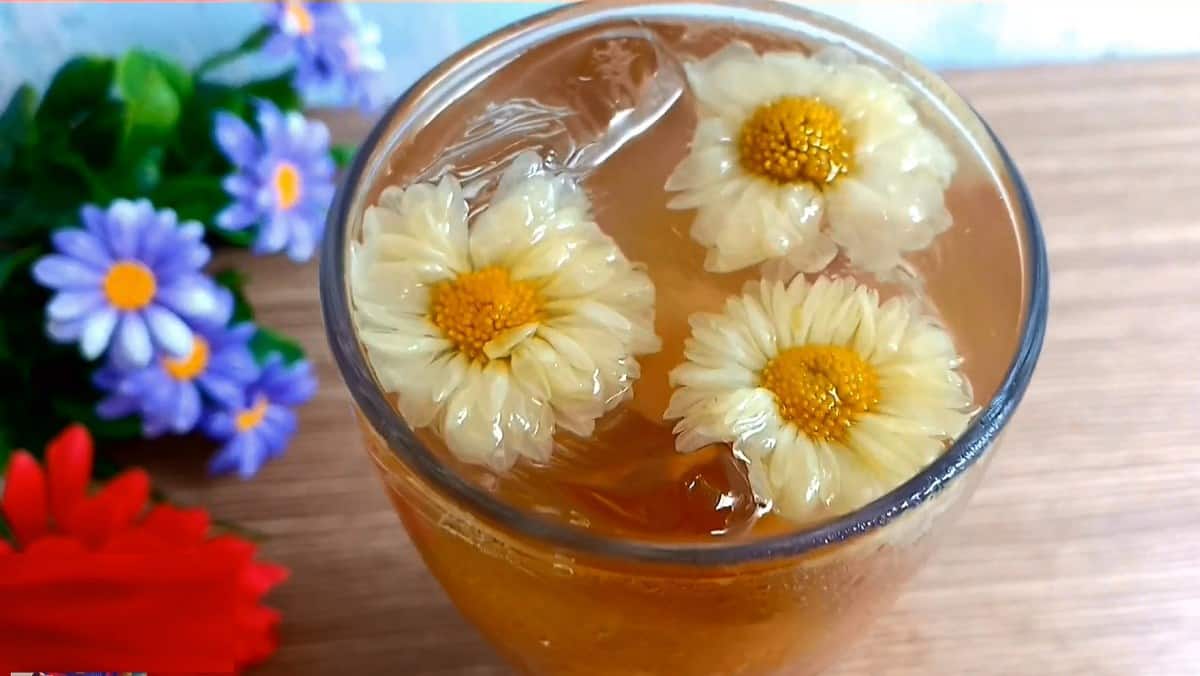 Cách nấu trà sâm hoa cúc trắng đơn giản tại nhà