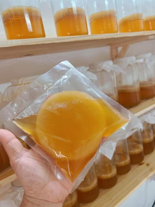 Cách làm trà Kombucha cơ bản (kinh nghiệm thực tế)